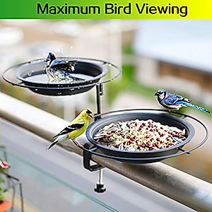 Solution4Patio Expert in Garden Creation Urban Apartment Deck Rail Bird Feeder & Bird Bath, Balcony Platform Removable Metal Tray 8" Dia, Not Blowing Away, Adjustable Clamp Bracket #G-B124A00-US