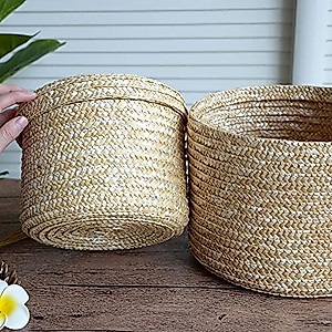 Zhuxin Woven Straw Storage Baskets with Lid, Rattan Snack Container Multipurpose Bins Laundry Toys Organizer Household, Round Large Diameter 22cm Height 17cm