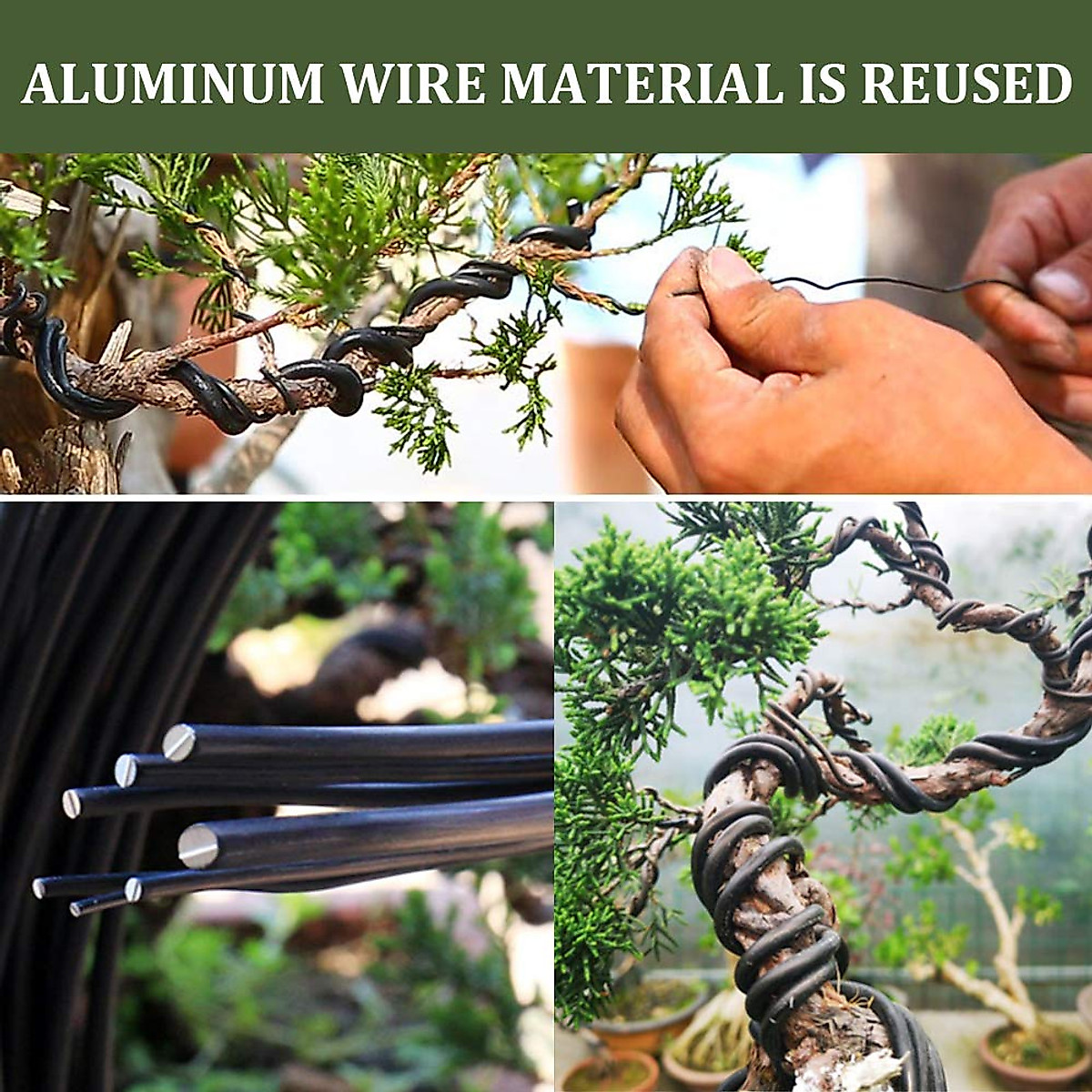 Bonsai Wire with Cutter Kit - 9 Roll Tree Training Wires 149.6 Feet Total .Anodized Aluminum Wire 1mm/1.5mm/2.0 mm Training Wire，for Bonzai Trees Indoor (149.6 Feet, Green, 9)
