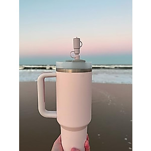 Resin and Reed Silicone Straw Cover Caps, Compatible with Stanley Cup and 10mm Straws, Cup Not Included (Shale, Dune, Rose Quartz, Chambray Blue)