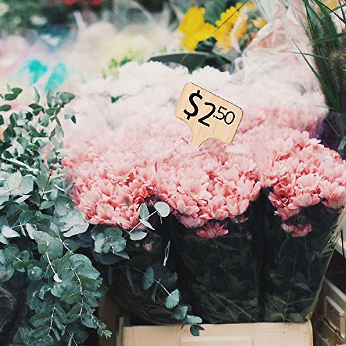 Eco-Friendly Bamboo Plant Labels & Tags for Garden | 30-Pack