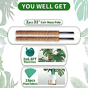 ICoirstream Coir Moss Pole Plant - 2 Pcs 31.5 Inch Coir Moss Pole Bendable and Stackable to 55 Inches - Use Alone or Together. Support Poles for Indoor Climbing Plants