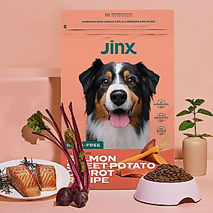 Jinx Salmon, Sweet Potato, Carrot & ALS Kibble Dry Dog Food, 11.5 lbs.