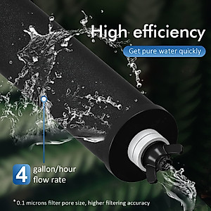 Purewell PB-2 Black Purification Elements, Replacement Filters for PB-2/BB8-2 Purification Elements and Gravity Water Filter System (2 Pack)
