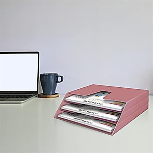 Acrimet Horizontal Triple File Folder Holder Organizer (Solid Pink Color)