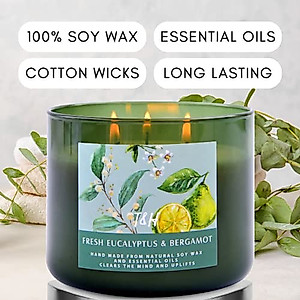 Large 3 Wick Scented Candle - Eucalyptus Bergamot Aromatherapy Stress Relief Candle with Pine, Rose & Cedar - 15.8 oz Spring Candles for Home - Eucalyptus Candles - Natural Soy Candles for Men & Women