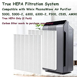 115115 Size 21 Replacement Filter A Compatible with Winix C535 C909, Winix PlasmaWave 5300, 6300, 5300-2, 6300-2, P300 Plasma wave Air Cleaner Purifier, True HEPA Filter Only 2 Pack