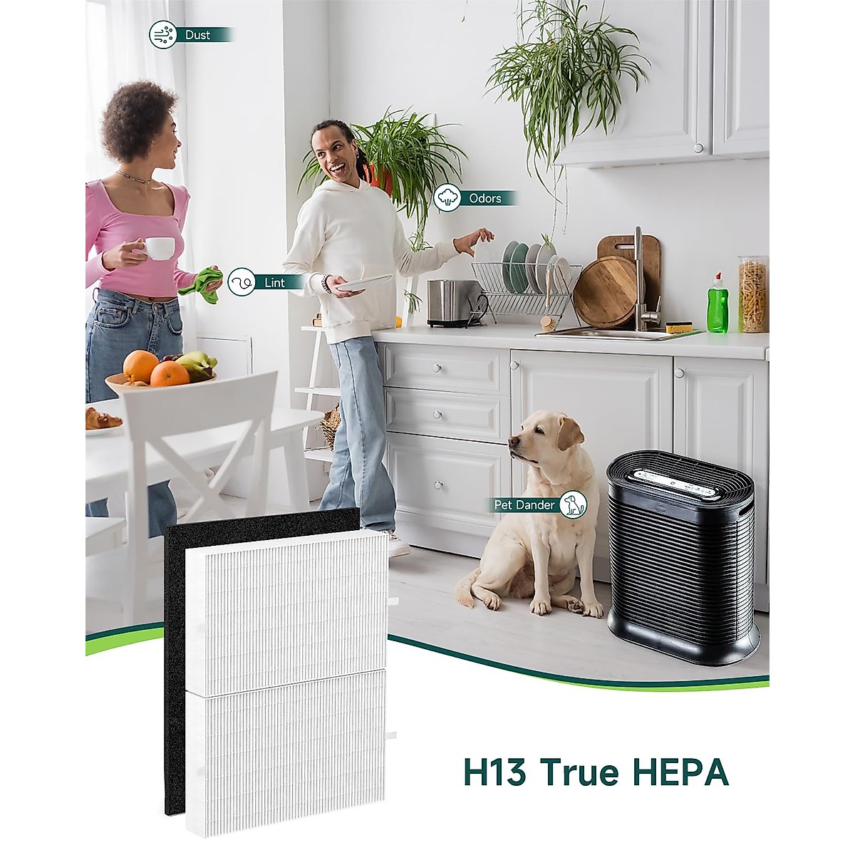 HPA200 Replacement Filter R Compatible with Honeywell Air Purifier 200 Series, 2 H13 True HEPA Filters with 4 Pre-Cut Carbon Filters, Part# HRF-ARVP200