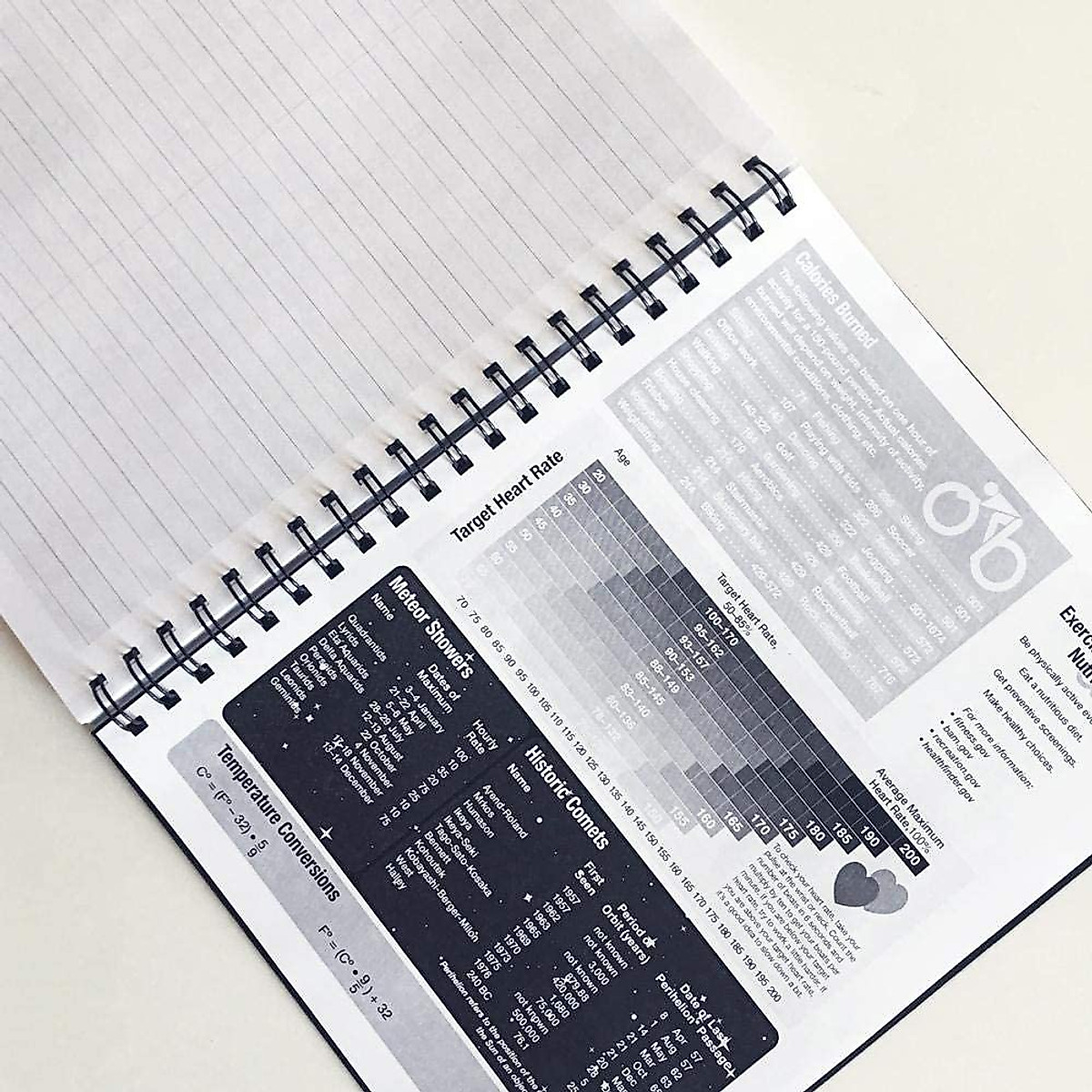 Undated Coloring Planner (6.625x9) Medium - Weekly & Monthly Organizer, Appointment Schedule, Goals and Notes