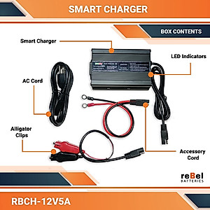 reBel Batteries - 12V LiFePO4 Charger 5 Amp Intelligent Chip CC/CV Multistage Lithium Battery Charger Ring Terminals Plus Alligator Clips