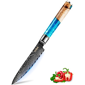 WAK Professional Sharp Kitchen Utility Knife 5 inch, High Carbon Stainless Steel Damascus Cooking Knife, Japanese Cutlery Knife with Non-stick Blade, Blue Resin Wood Ergonomic Handle