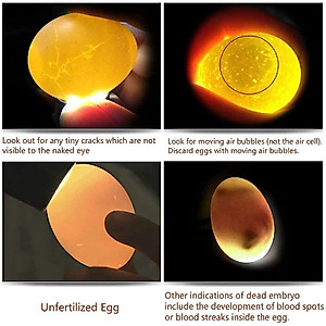 ziyue Egg Candlers, Upgraded 2024 LED Light Egg Candler Tester Lamp Egg Checker Incubator for All Eggs