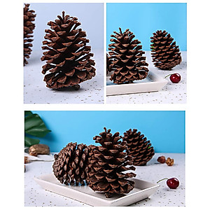 Pine Cones 3.5" to 4.7" Tall Christmas PineCones Giant Large Natural Pinecones for Home Accent Decor, 4 PCS, Bug Free (Large PineCones)
