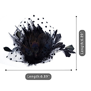Cizoe Fascinators 20s Gatsby Flapper Acessories Art Deco Party Accessory Peacock Feather Headpiece(1A-Black)