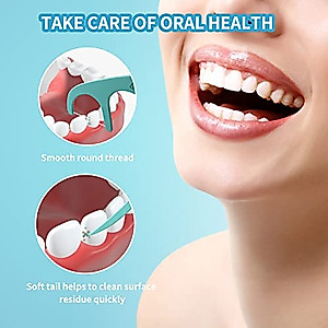 Dental Floss Picks, 2Travel Floss Cases 120 Counts Dental Flossers,Floss Sticks,Tooth Floss,Dental Sticks,Dental Picks Disposable,Teeth Flossers Picks (Pack of 2, 120)