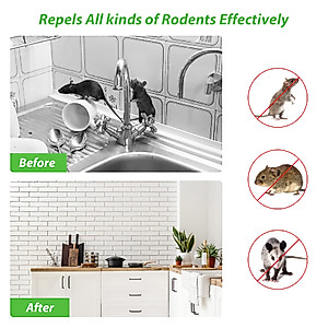 MAGIC CAT Rodent Repellent 20 Pack, Natural Peppermint Oil to Repel Mice & Rats for House Pet Family Safe, Rat Deterrent Mouse Stopper for Closet Garage Boat Car RV Truck Indoor Outdoor Rodent Control