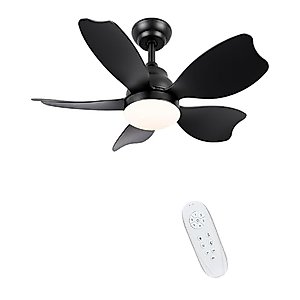 Newday 30" Ceiling Fan with Light and Remote, Small Ceiling Fans with Lights, 5 Reversible Blades 3 Colors Dimmable 6 Speed Ceiling Fan for Bedroom Kitchen Dining Room, Black Ceiling Fan with Light