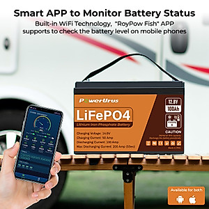 12V 100Ah Self-Heating LiFePO4 Lithium Battery with Smart APP, 4000+Cycle LiFePO4 Battery, Built-in 100A BMS, Wireless Real-Time Battery Monitor Function for RV, Marine, Off Grid Application