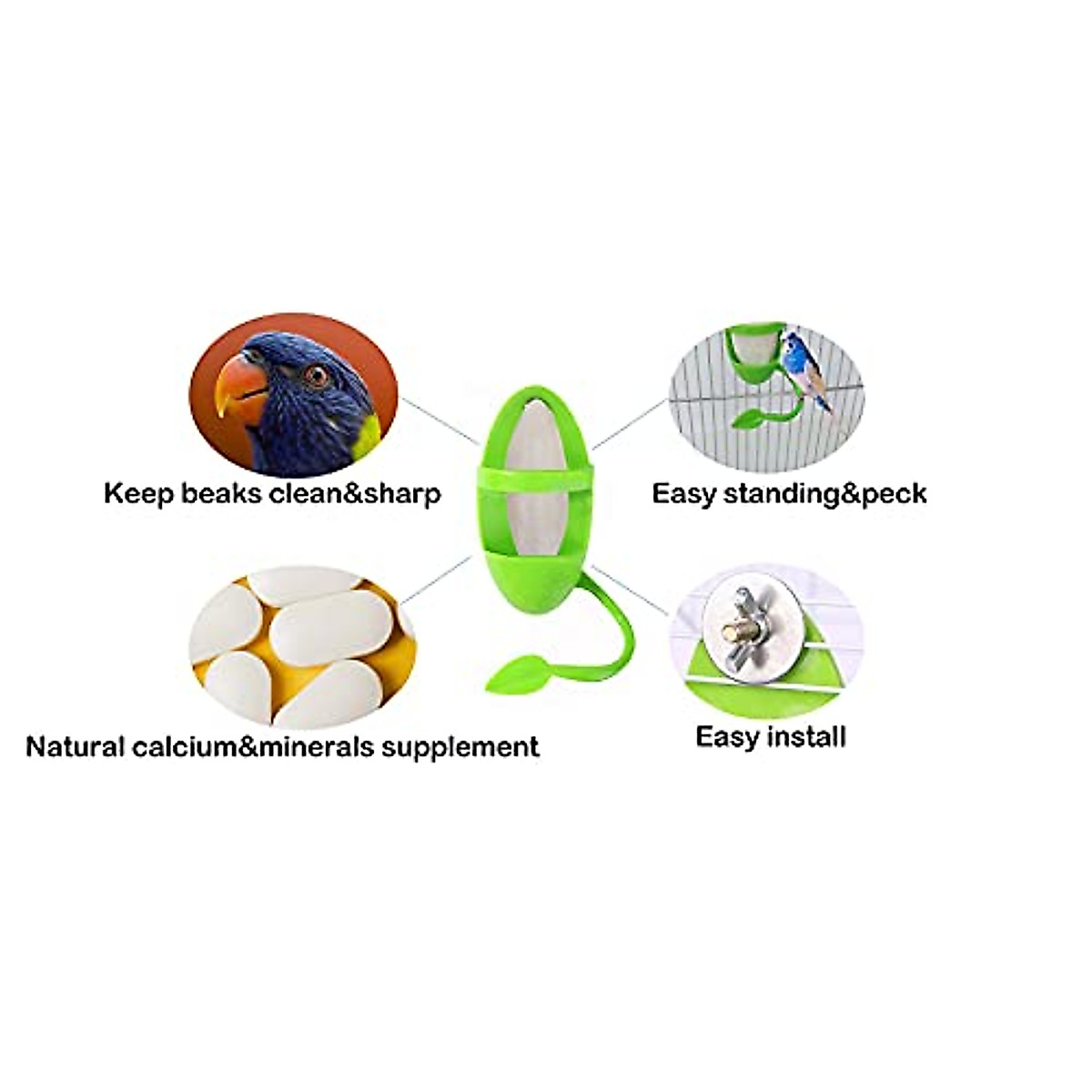 OSWINMART Cuttlefish Bone with Holder (1+2) Sets for Birds Handcraft Polish Cuttlebones Treat Feeder Food Basket for Fruit Vegetable Grain Wheat Stick Holder Suit Small to Regular Size Birds