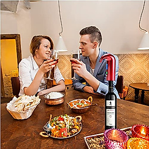 Electric Wine Aerator Portable Smart Wine Decanter and Dispenser Elegant Red with Wine Opener and Air Stopper Set