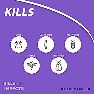 Bonide Rose Shield Systemic Rose & Flower Care, 6 lbs. Ready-to-Use Granules for Long Lasting Protection Against Garden Insects