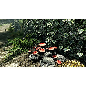 The Elder Scrolls V: Skyrim (Special Edition)