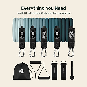 Retrospec Train Resistance Bands Workout Bands w/Handles, Door Anchor, Carry Bag for Women & Men, Undertow, Set (5pc)