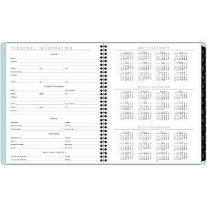 AT-A-GLANCE 2024 Monthly Planner, 9" x 11", Large, Contemporary Lite, Sky Blue (7026XL3824)