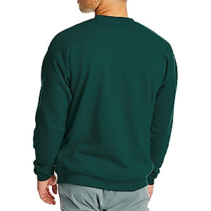 Hanes mens Ecosmart Sweatshirt, Deep Forest, 3X-Large US