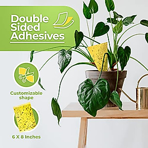 Fruit Fly Trap (20 Pack), Double-Sided Yellow Sticky Traps (Indoor & Outdoor), Fruit Fly Traps for Kitchen & Plants, Fruit Fly Killer - Sticky Gnat Trap Indoor Solution, Fungus Gnat Traps