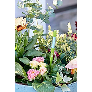 Sustee Aquameter, Set of 5, Plant Soil Moisture Sensor (Green, Small)