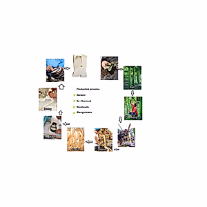 HUMINA Hot Bath Supplies Loofah,Natural Loofah Sponge Bath Body Exfoliation Natural Loofah 3 Pack of 5 inch