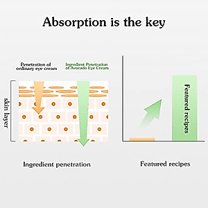 Grospe Avocado Eye Cream Elastic Moisturizing Eye Cream Remove Pouches Dark Circles Anti-Wrinkle Diminishing Eye Lines Lifting Firming