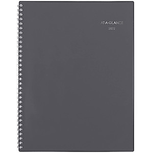 2022 Monthly Planner by AT-A-GLANCE, 8-1/2" x 11", Large, DayMinder, Gray (GC47007)