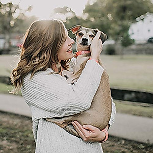 Paipaitek Shock Collar Charger Replacement, Compatible with Flittor, Petsafe, PetSpy, PetTech, PET998, Pettrainer Dog Shock Collars & Other Training Systems