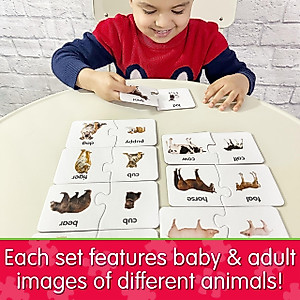 The Learning Journey: Match It! - Animal Families - Learning Animals, Animal Matching Game, Animal Puzzle For Kids, Puzzle For Toddlers, Award Winning Educational Toys