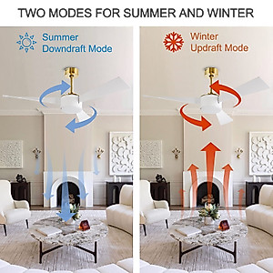 Fanliving 52 Inch Ceiling Fan with Lights Remote Control, Indoor Modern Ceiling Fan with High CFM Quiet DC Motor, 3 Blade White Gold Ceiling Fan for Bedroom Living & Dining Room