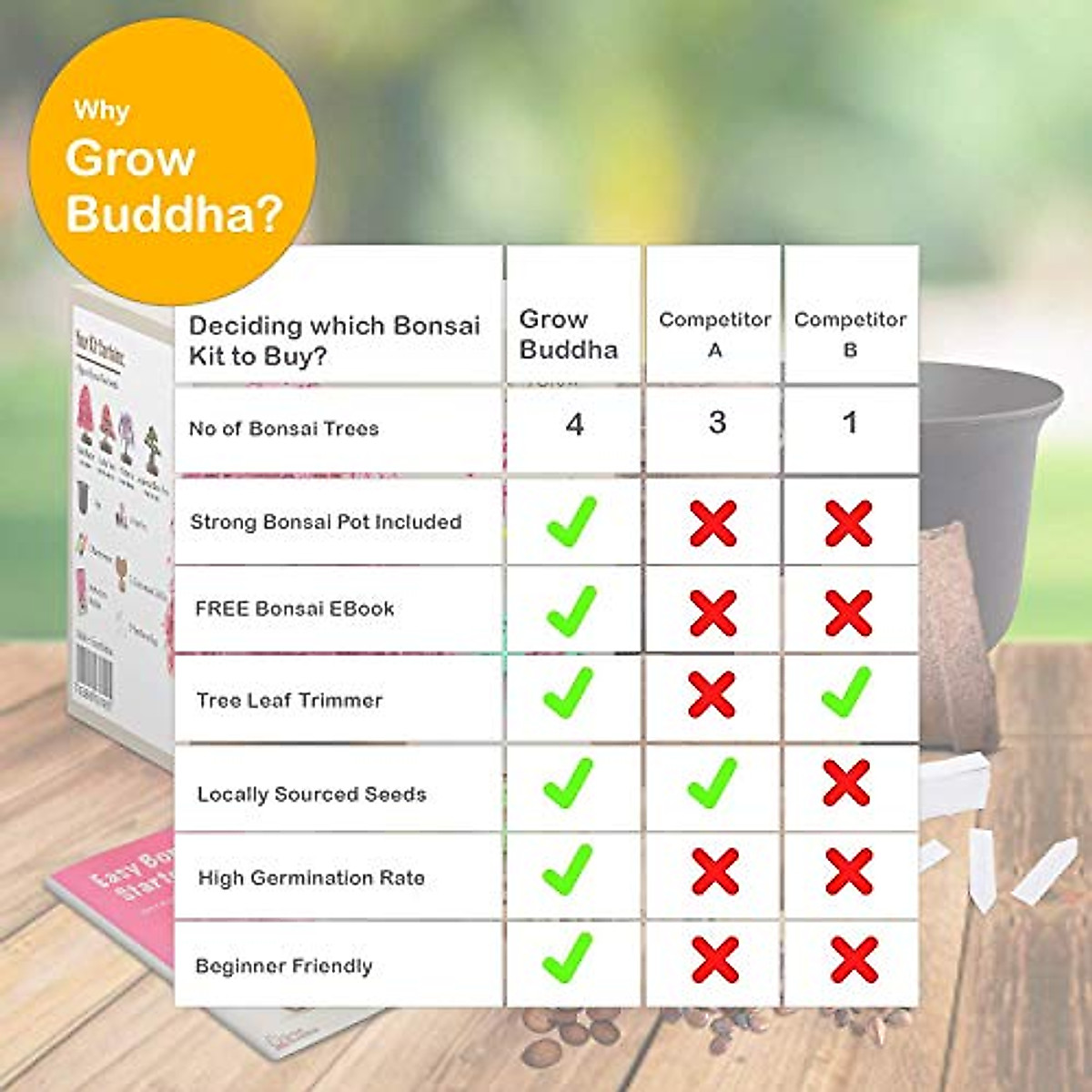 Grow Your Own Bonsai kit | Tree Plants & Seeds | Crafts Hobby Kits | Easily Grow 4 Types of ...