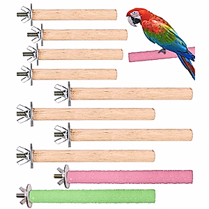 10 Pack Bird Perch, Bird Stand Set Bird Cage Accessories Natural Wood Toy Perch Parrot Toys Natural Branch Standing Stick for Budgies Love Birds Finches Small and Medium-Sized Bird Toys