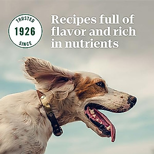 Nutro Natural Choice Adult Small Bites Dry Dog Food, Chicken & Brown Rice Recipe Dog Kibble, 13 lb. Bag