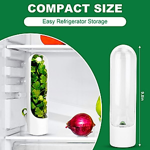 Pilipane Herb Keeper,Herb Savor Fridge Organizer,Herb Storage Container Saver Preserver For Cilantro, Mint, Parsley, Asparagus, Keeps Greens Fresh For 2-3 Weeks