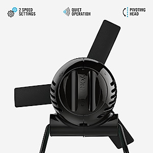 Vornado Zippi Small Personal Fan for Desk, Nightstand, Tabletop, Travel, Black