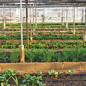 6 Inches Garden Stakes Metal Landscape Staples 16 Packs 11 Gauge Stakes Galvanized Steel Lawn Stakes Yard Staples Securing Pegs for Weed Barrier Fabric Ground Cover Holding Fence and Artificial Turf