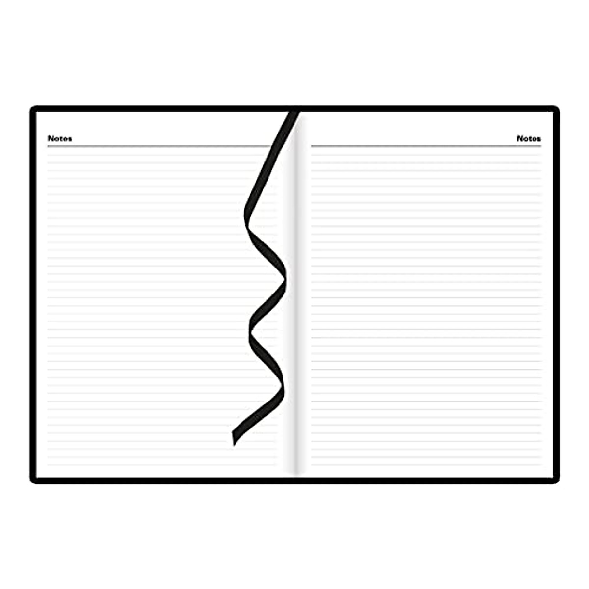 Letts of London Standard Daily Planner, 12 Months, January to December, 2024, Day-Per-Page, A4 Size, 11.75" x 8.25", Black (C10ZBK-24)