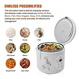 KOSMIKO Rice Cooker 4Cup Uncooked ( 8Cup Cooked ) – Instant Pot Vegetable Steamer for Kitchen – Multipurpose Food Steamer for Rice, Meat, Veggies – Easy to Use and Elegant Design – Programable Digital Display