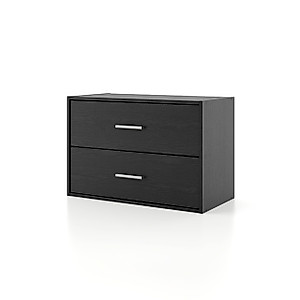 HOMES: Inside + Out Apexa 2-Drawer Wooden Stackable Storage Drawers, Small Food Pantry Cabinet, Cajonera De Madera, Underbed Drawer Dorm Teen Room Decor & Bedroom, Home Office, Kitchen, Black