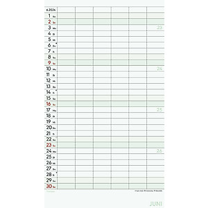 Family Planner XL 2024 with 6 Columns - Family Timer 26 x 45 cm - Offset Paper - with Holiday Dates - Wall Planner - Family Calendar - Alpha Edition