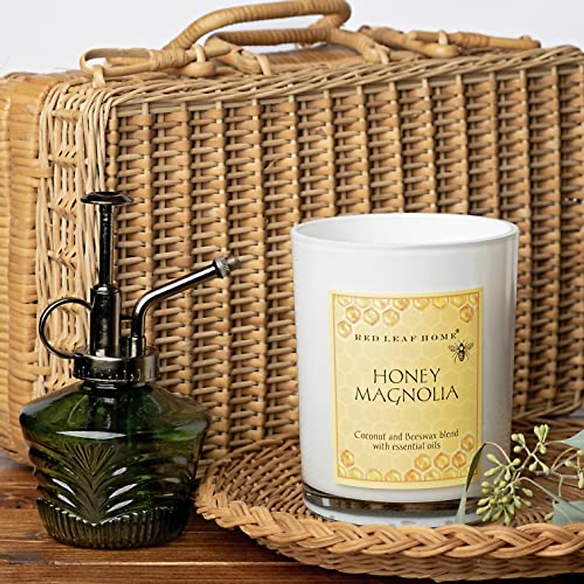 Red Leaf Home | Honey Magnolia Candle, Large | Honeycomb Collection, Aromatherapy, Gift | 15.5oz Jar