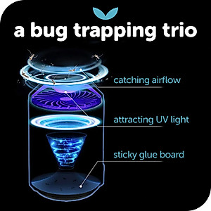 Katchy Indoor Insect Trap - Catcher & Killer for Mosquitos, Gnats, Moths, Fruit Flies - Non-Zapper Traps for Inside Your Home - Catch Insects Indoors with Suction, Bug Light & Sticky Glue (Black)
