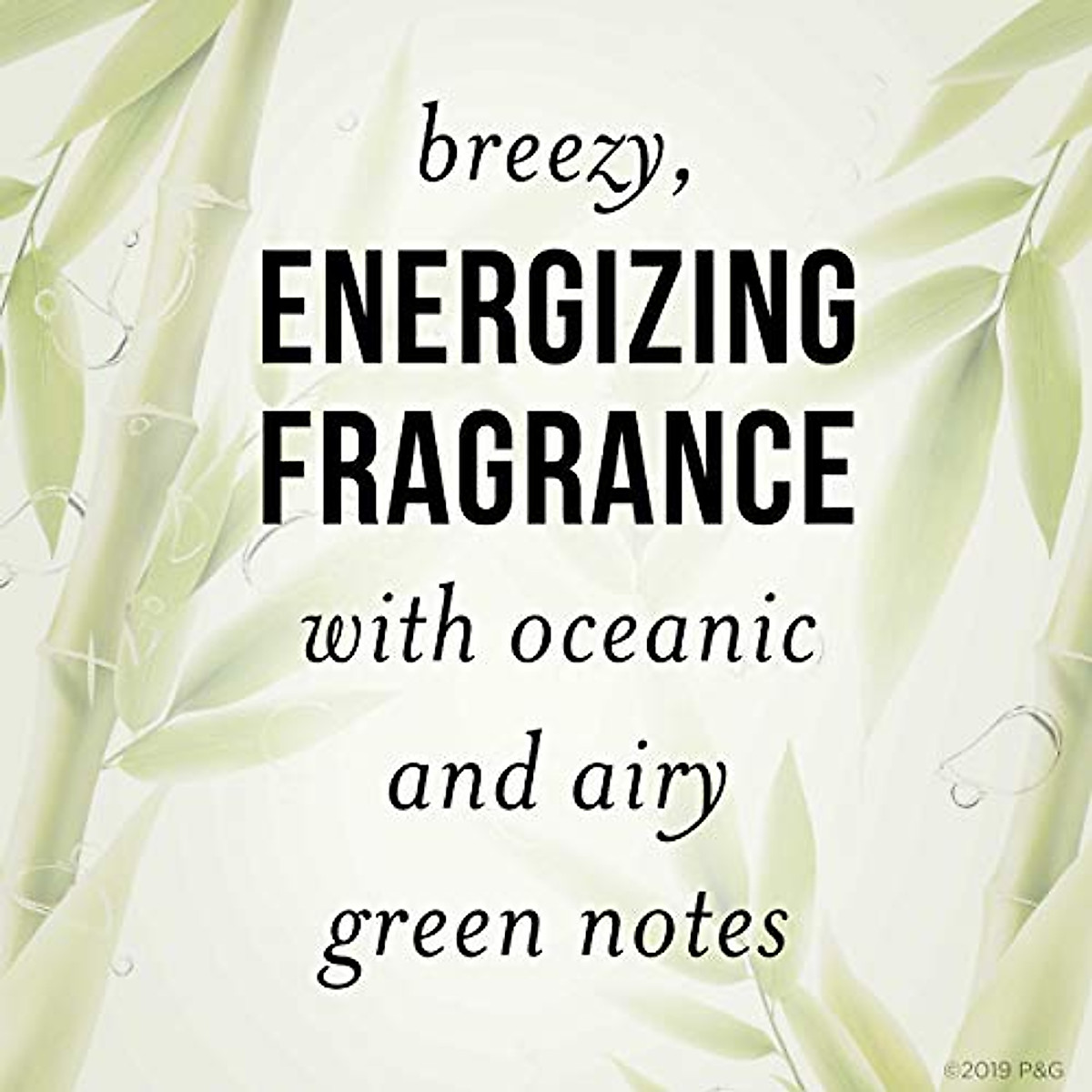 Pantene Nutrient Blends Hair Volume Multiplier Silicone Free Bamboo Conditioner For Fine, Thin Hair, 8.0 Fl oz, 6.257 Fl oz